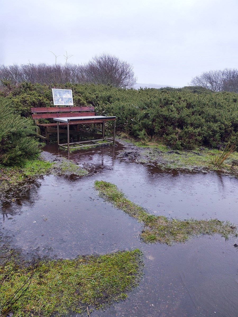 Paths under water – Walney Wildlife