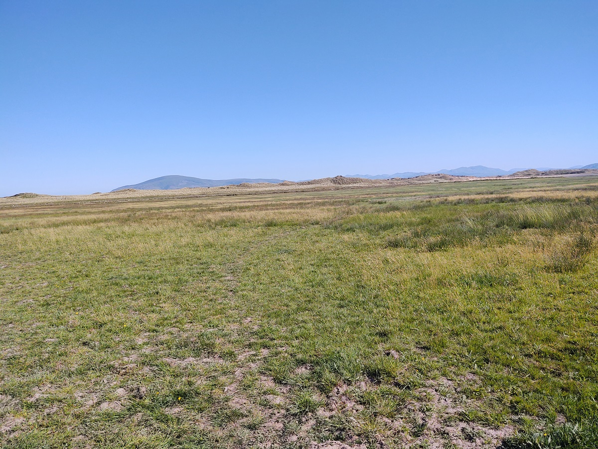 North Walney Reserve Advert – Walney Wildlife